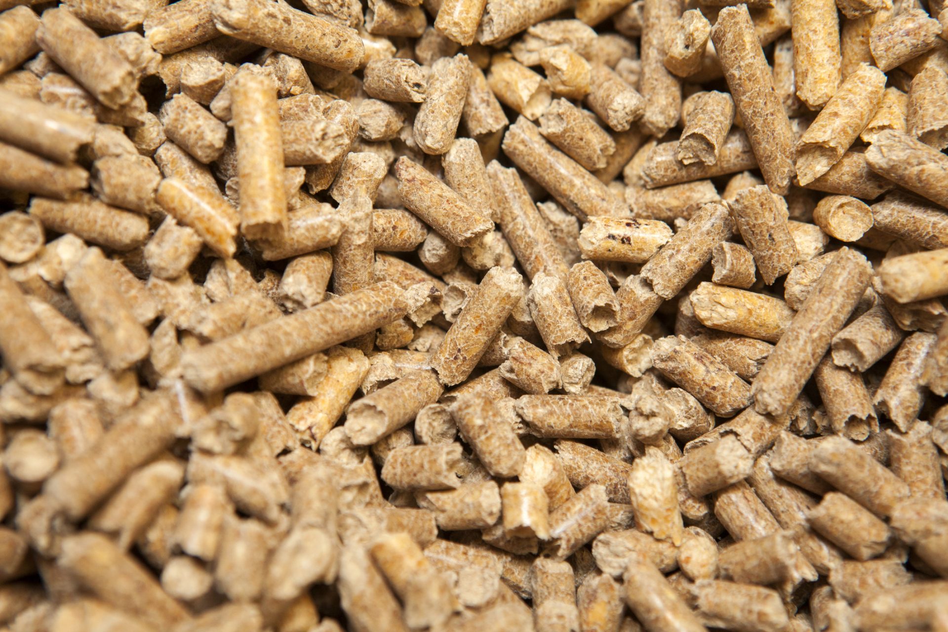 Biomass Technology | Consistent Feedstock Flow Solution